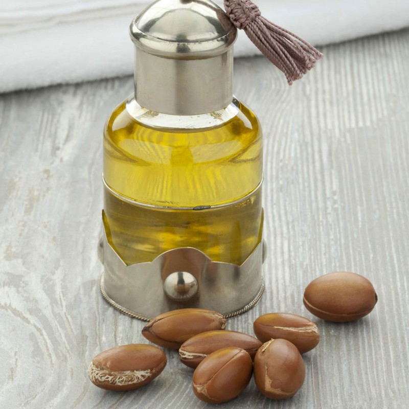 Argan Seme (Argania spinose)