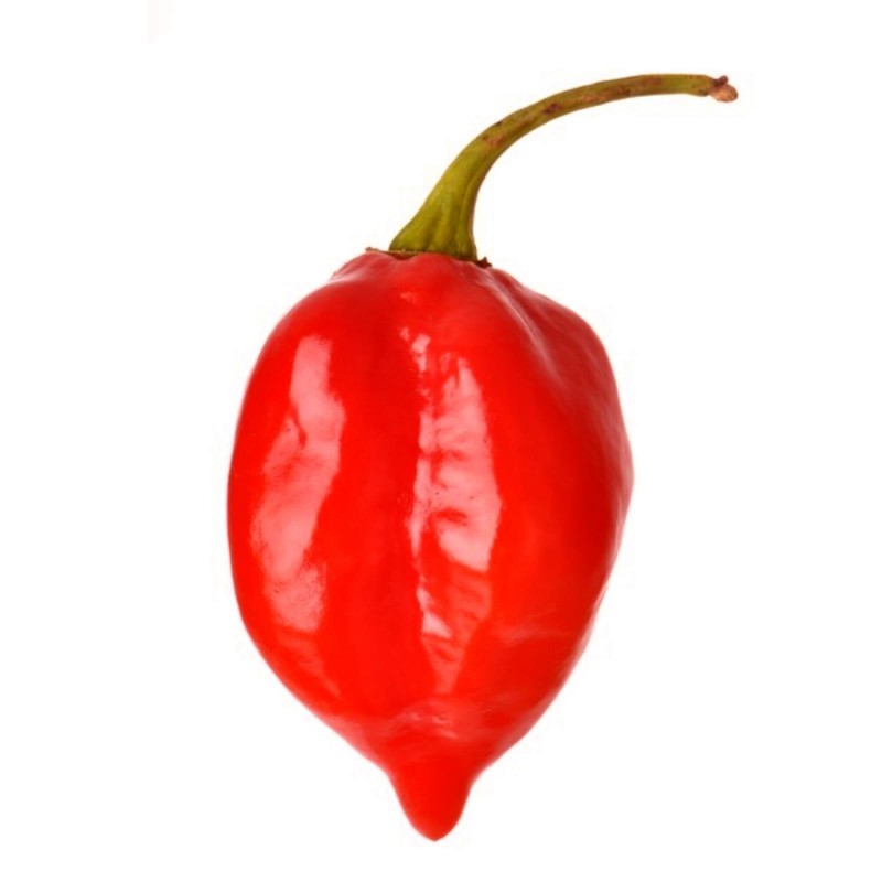 Habanero Savina Red Seme ekstremno ljut