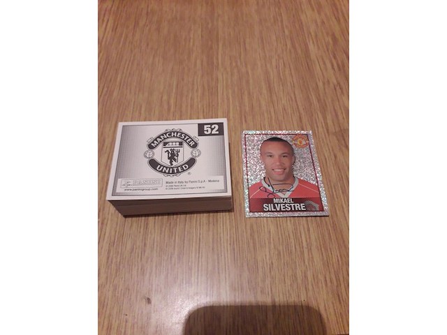 Slicice Manchester United 2006-2007 (Panini) 2