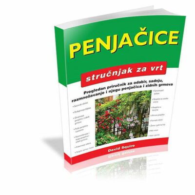 Penjačice – David Squire