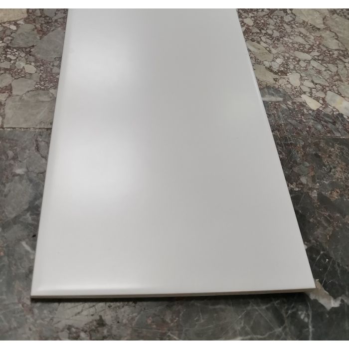 WHITE Matt 20x60