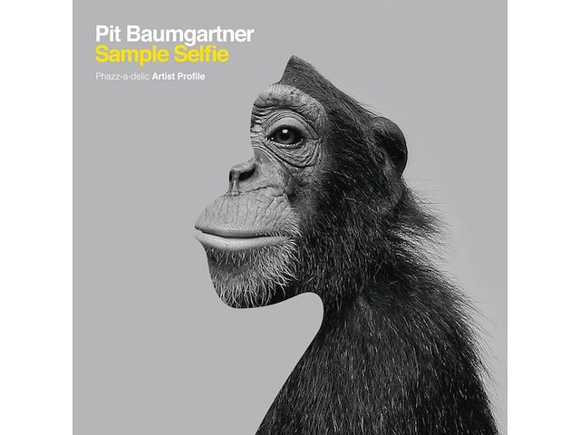 Pit Baumgartner ‎– Sample Selfie