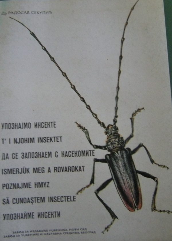 Upoznajmo insekte