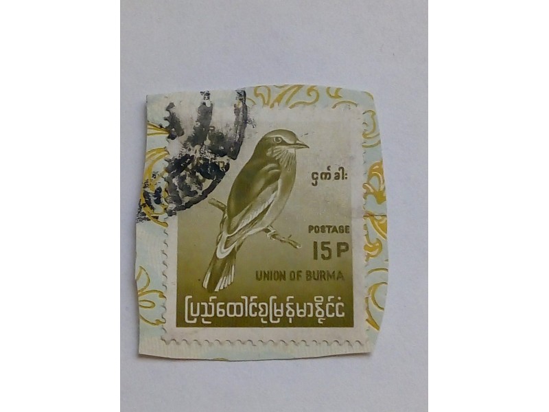 Ptica - Burma -