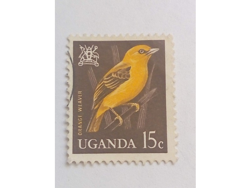 Ptica - Uganda - Afrika -