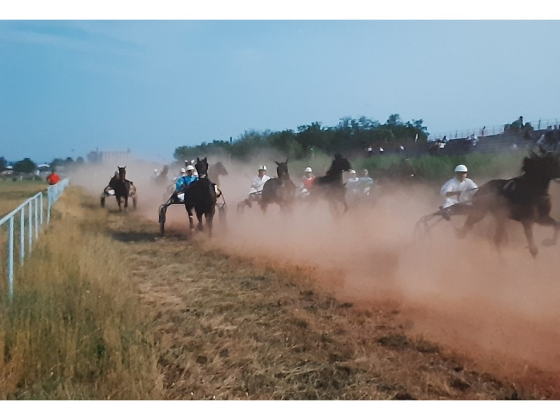 Ljubicevske konjicke igre u Pozarevcu