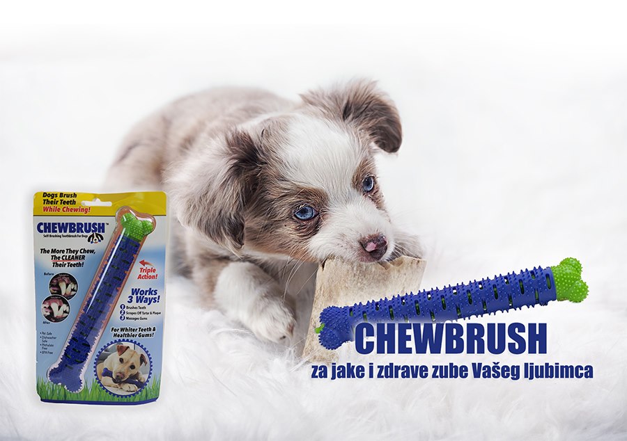 ChewBrush – Rešenje za problem zadaha Vašeg psa