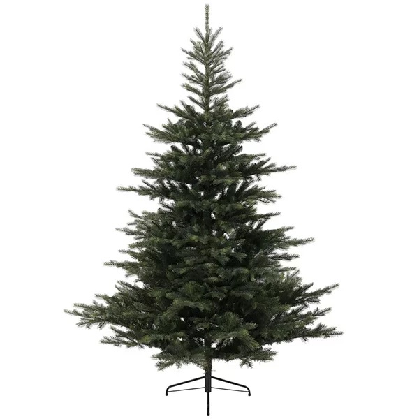 Novogodišnja jelka Grandis Fir 150cm
Novogodišnja jelka Grandis Fir 150cm