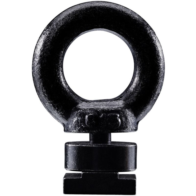 Thule eyebolt