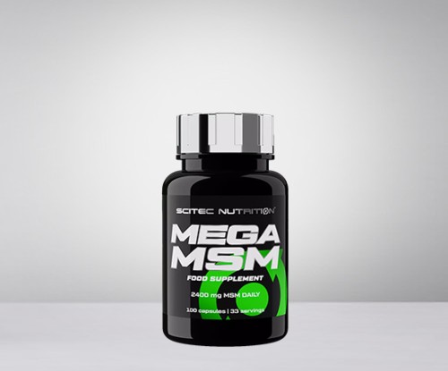 MEGA MSM 800 MG