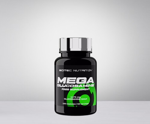 MEGA GLUCOSAMINE 1000 MG