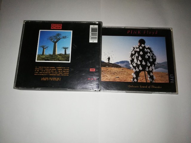 Pink Floyd ‎– Delicate Sound Of Thunder --2cd