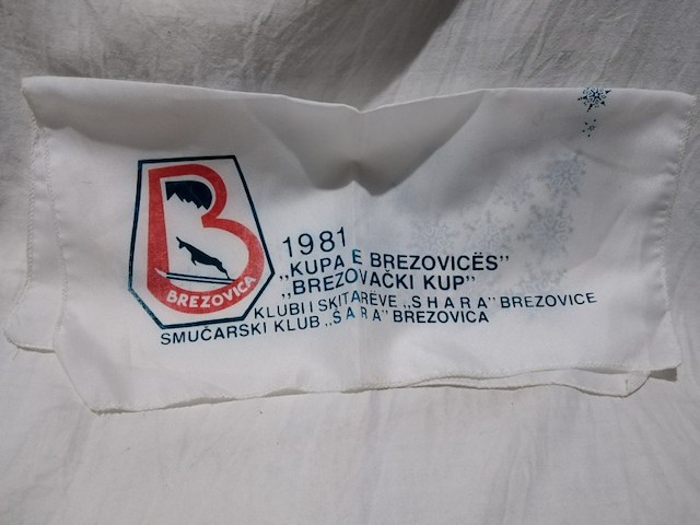 Brezovacki kup 1981