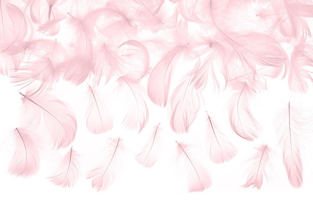 Perje – bebi roze