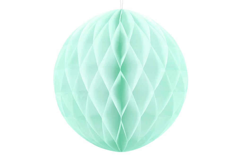 Honeycomb mint – 20cm