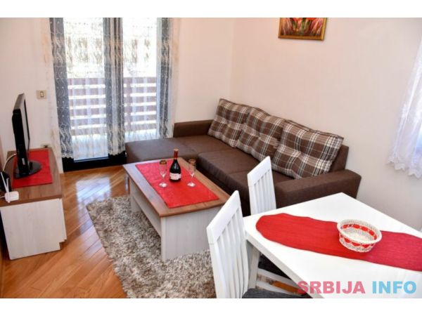 APARTMAN ALEKSANDAR 19 ZLATIBOR