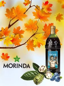 Original Tahitian Noni Sok - Morinda