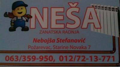 Z. R. Nesa