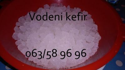 Vodeni kefir, Japanski kristali, Tibicos