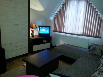 Izdajem apartman u centru Zlatibora