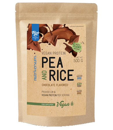 VEGAN PROTEIN PEA&RICE 500GR