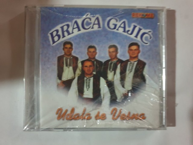 braca gajic