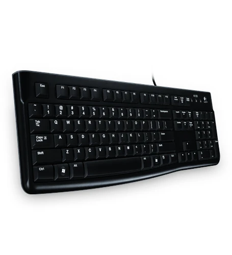 Logitech K120 (920-002498) Tastatura YU