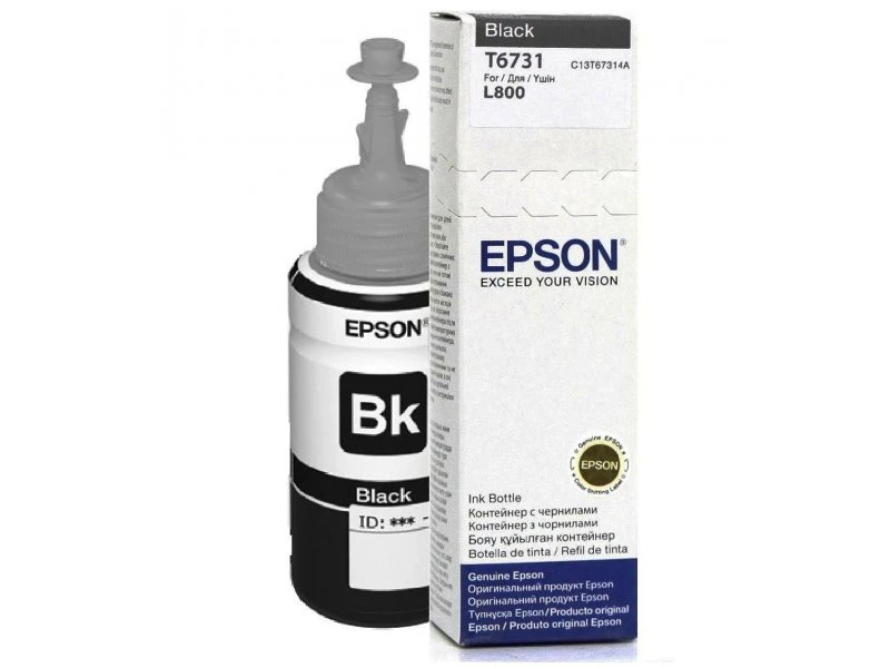 Epson T6731 Black