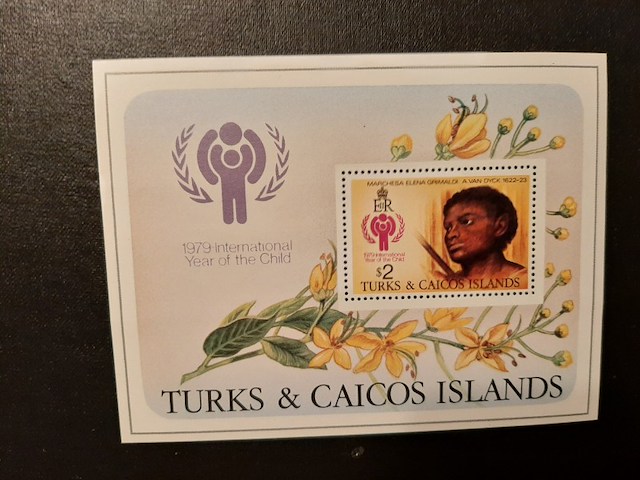 Marke 201 Turks i Caicos Island blok god.deteta