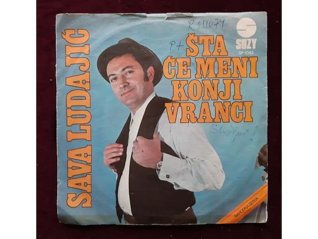 SAVA LUDAJIĆ - Šta će meni konji vranci