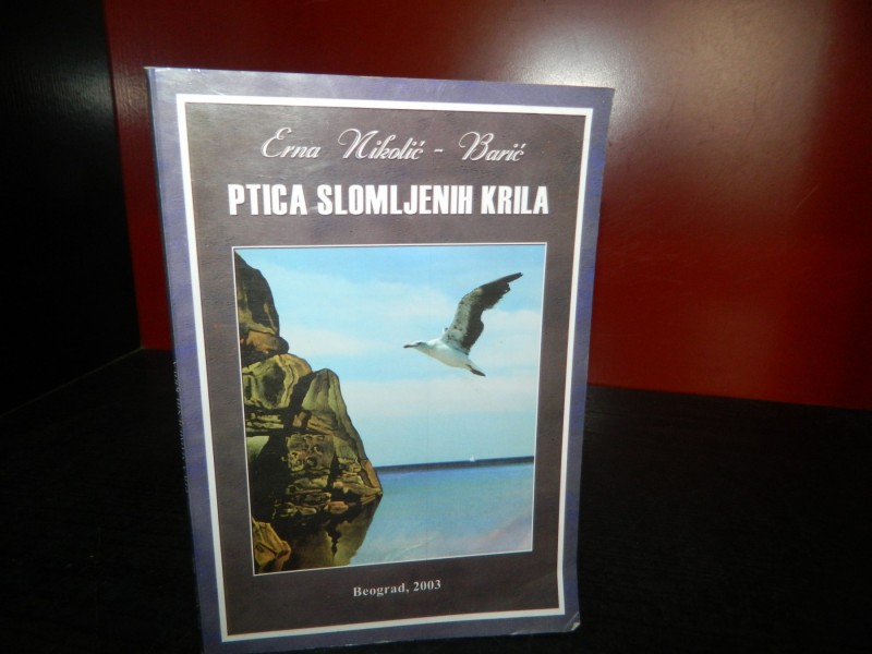 Ptica slomljenih krila