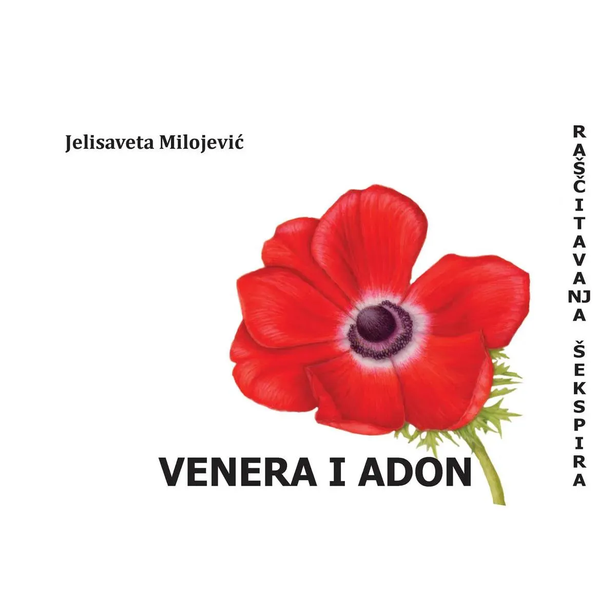 VENERA I ADON