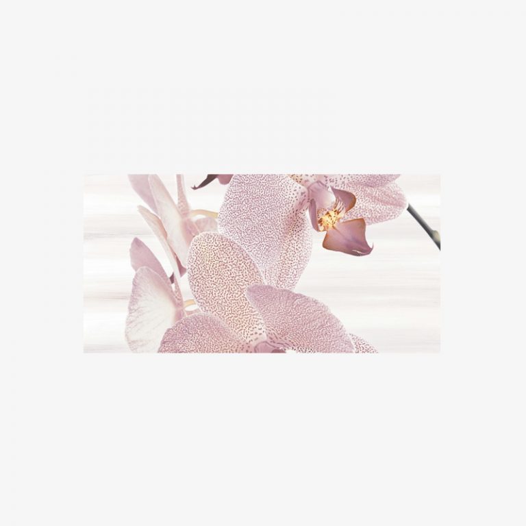 Amalia Orchid decor 2 25×50, 5258