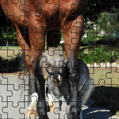 Puzzle