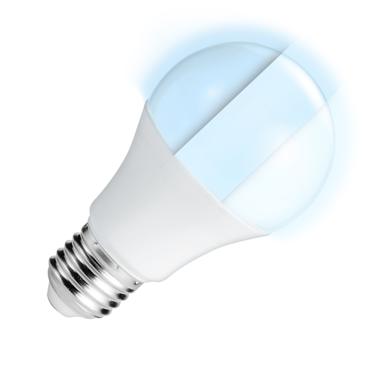 LED sijalica sa promenljivim inten. svetla 10W LS-A60-CW-E27/10-DIM
