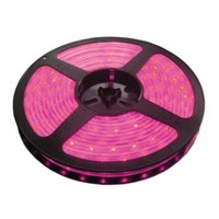 LED TRAKA 12V PINK 0,4A 240LM 8MM