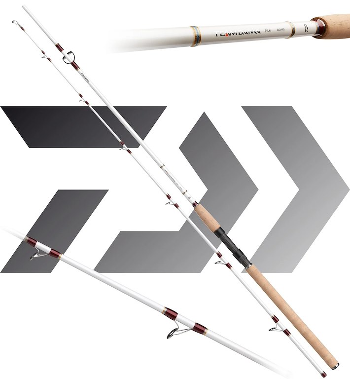 TEAM DAIWA PILK 2,70M 100-200GR