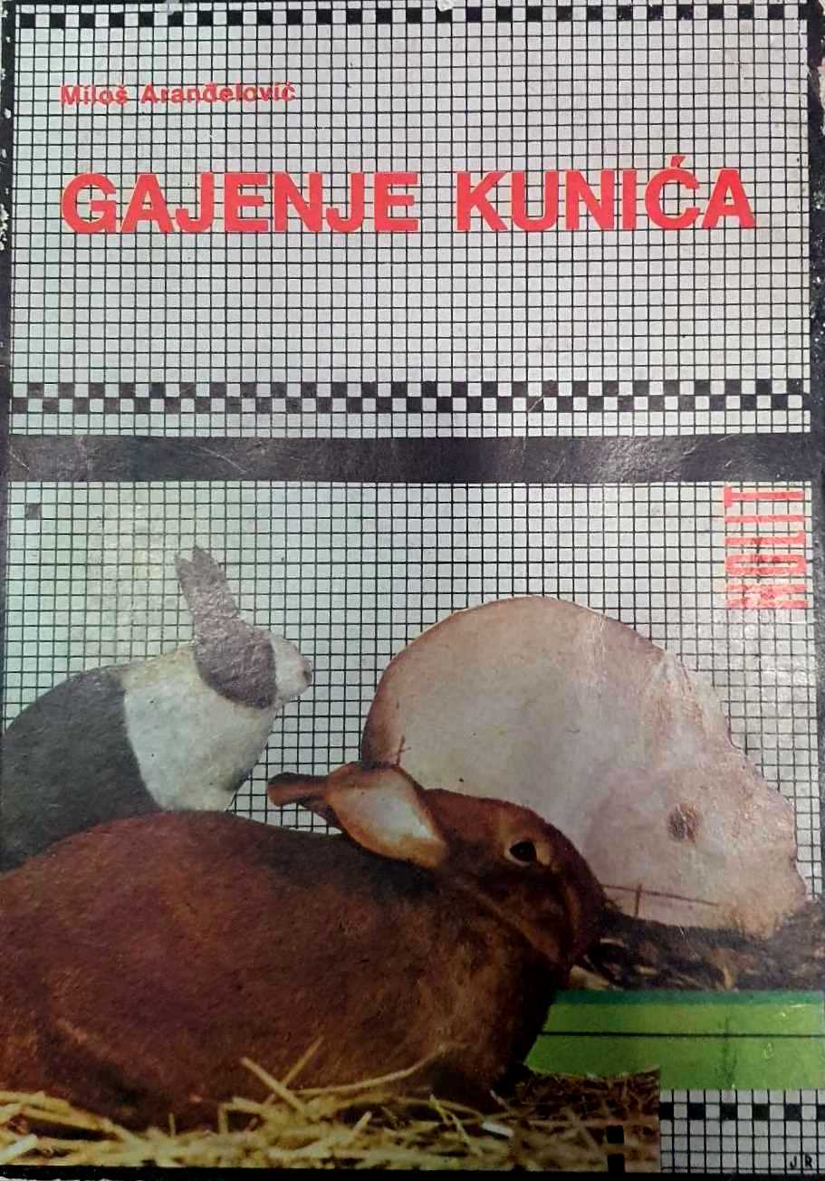 Gajenje kunića