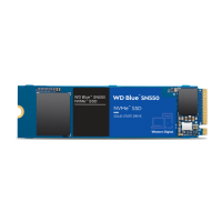 250 GB Western Digital WDS250G2B0C
