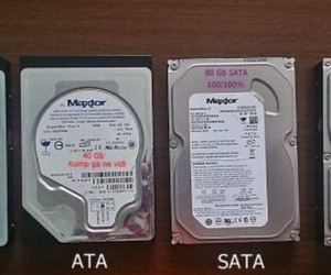 Hdd Od 40 I 80 Gb 3,5