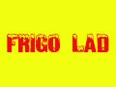 Frigo Lad – Servis Bele Tehnike I Klima Uređaja