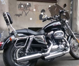 Harley davidson xl1200c sportster custom