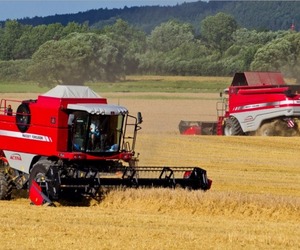 Remenje za kombajne massey ferguson