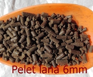 Pelet lana