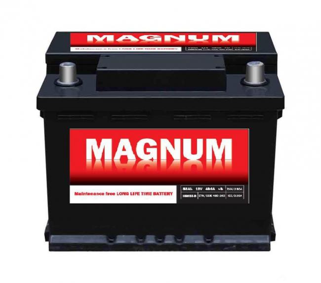 Magnum 12V 60AH D+ | Dostupno u prodavnici