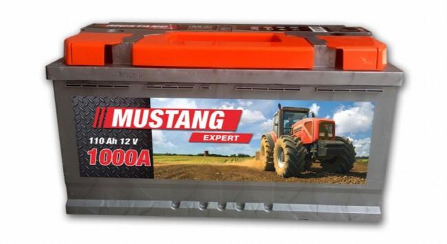 Mustang12V 110AH D+ MUSTANG EXPERT | Dostupno u prodavnici