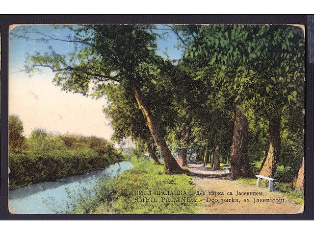 SMEDEREVSKA PALANKA park jasenica 1931