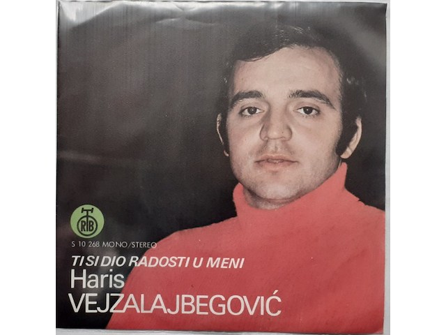 Haris  Vejzalajbegovic  - Ti  si  dio  radosti  u  meni