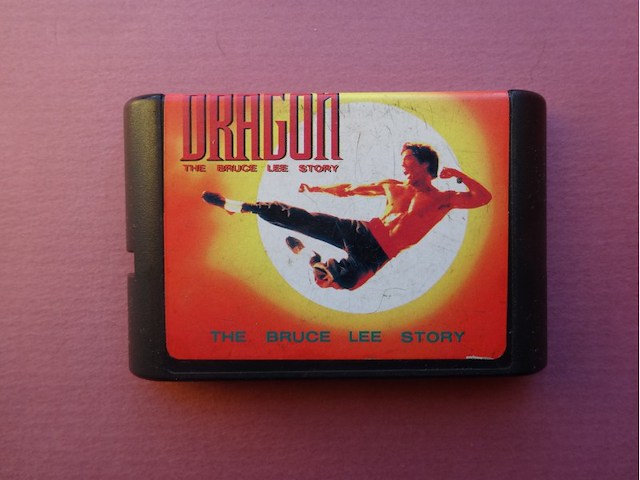 SEGA Dragon - the Bruce Lee Story, igra