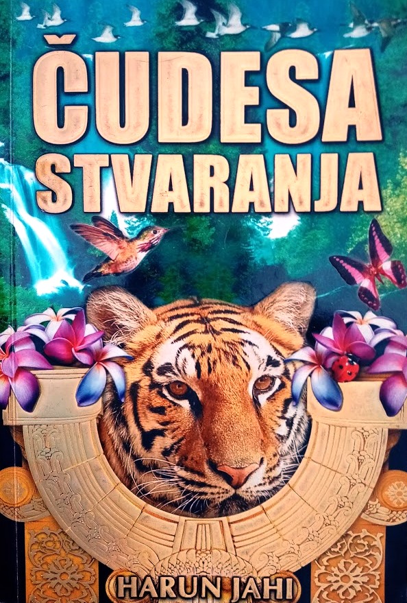 Čudesa stvaranja